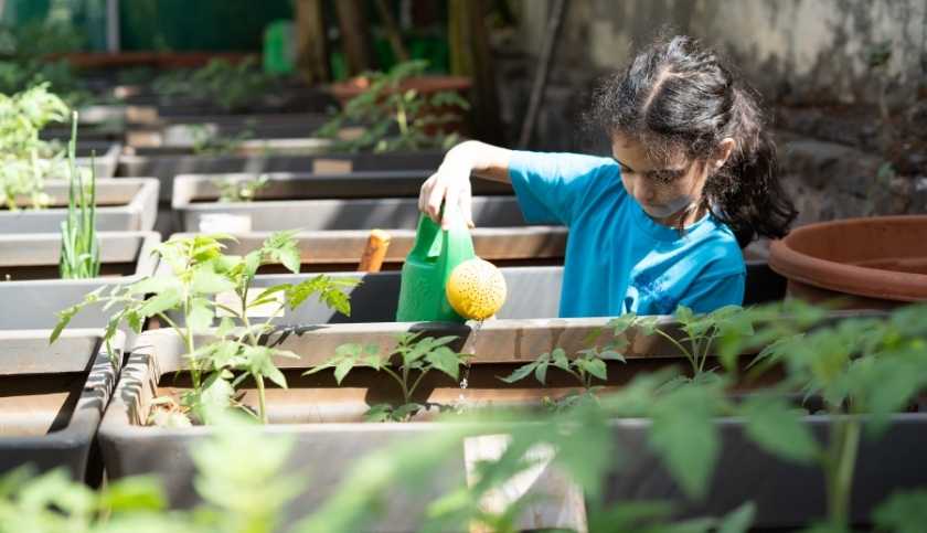 A progressive education for the 21st century - B.D. Somani ...